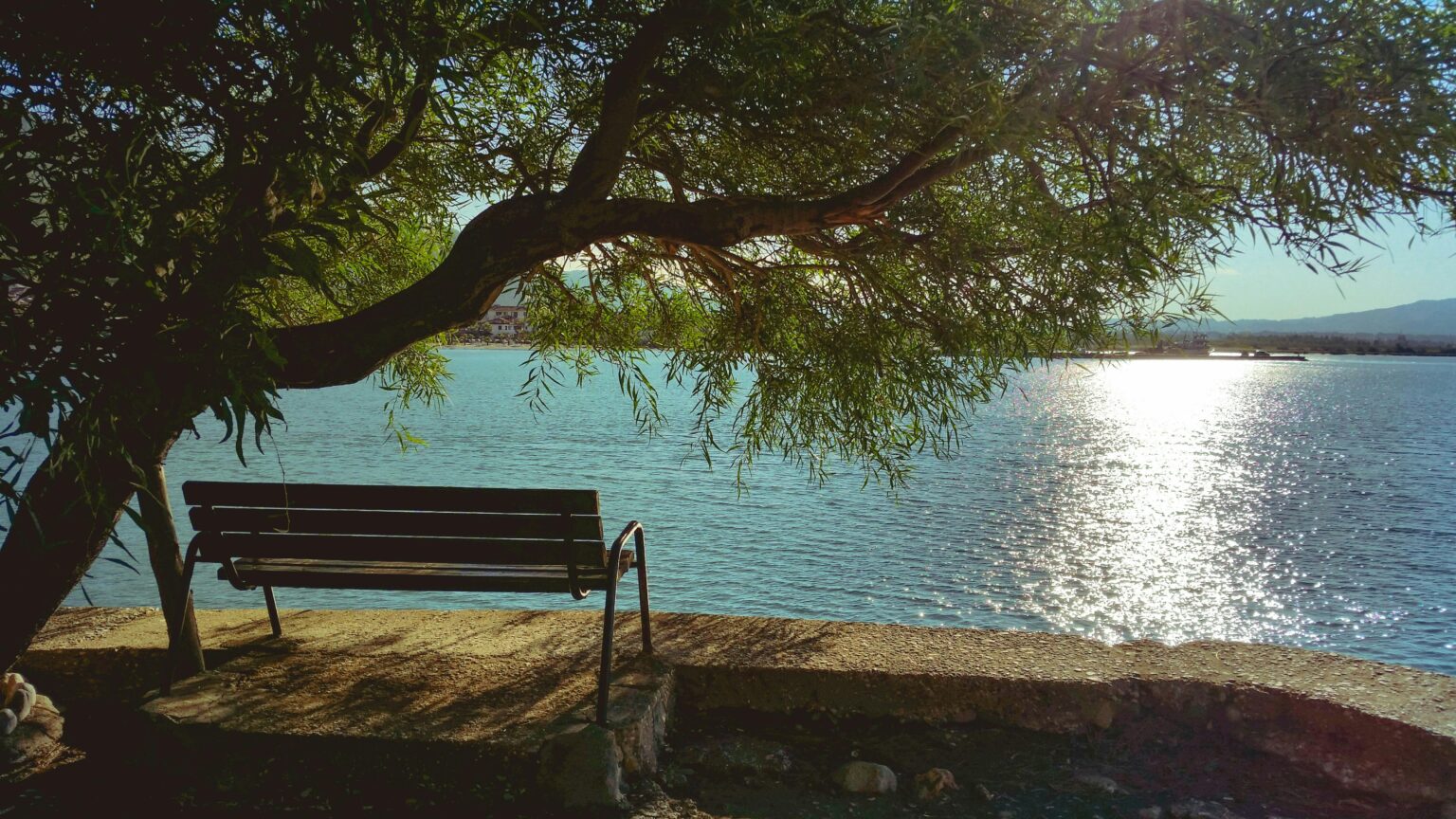 The Healing Power of Soft Fascination | STeta Therapy Wellness